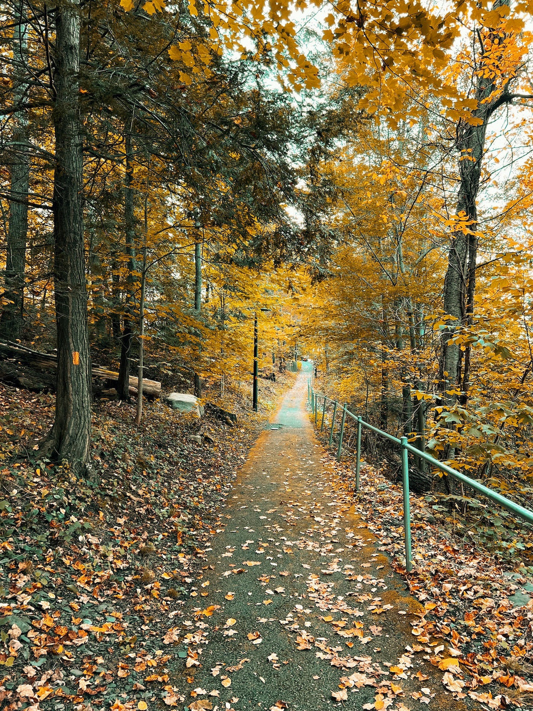 Shoo-Foo - Bamboo Eco Home Linens – SHOO-FOO, Eco Home Linens